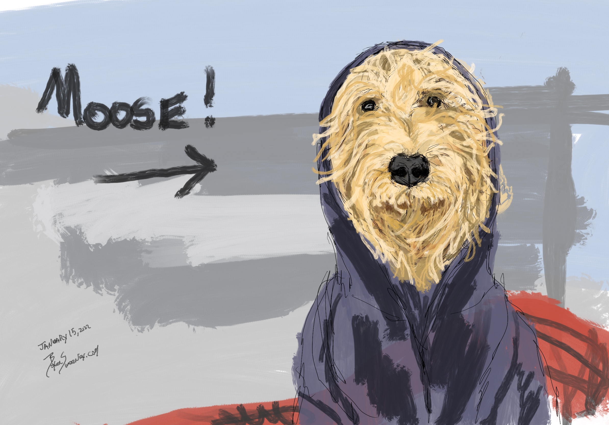 Moose! – Boxer Sweeney